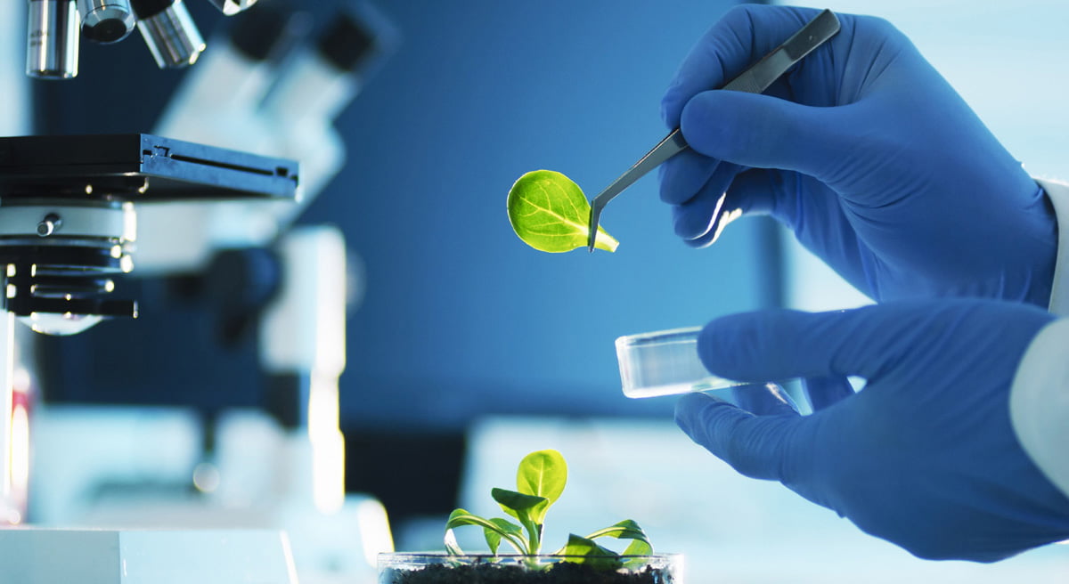Las características de la investigación científica - React Spain Magazine