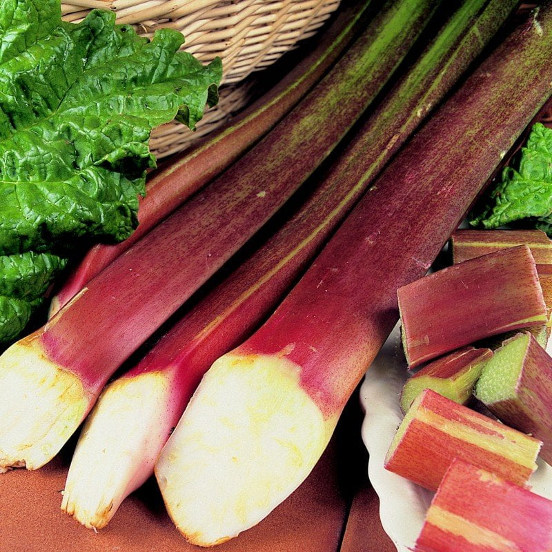 ¿Por qué probar el sabor del ruibarbo? - React Spain Magazine