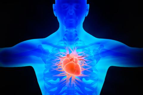 ¿Qué es la angina de pecho? - React Spain Magazine